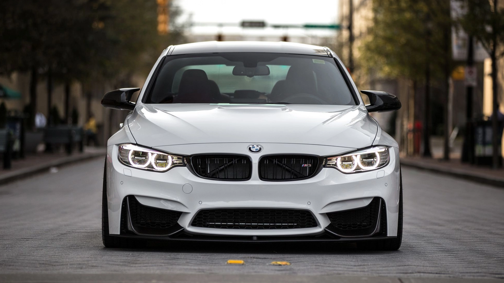 What is OEM and OEM+? - TORQ Performance